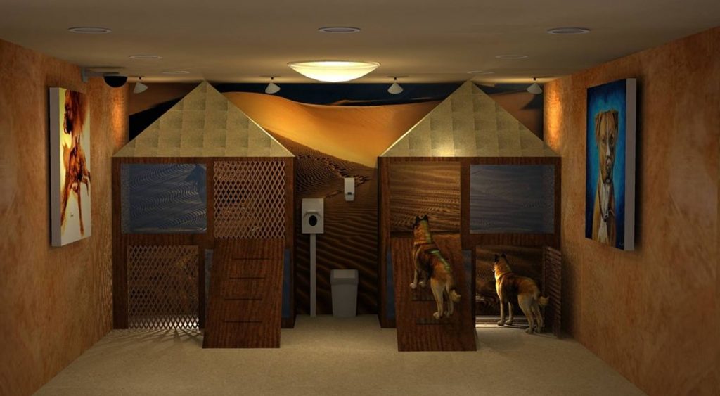 10 Rooms That are a Dog's Dream