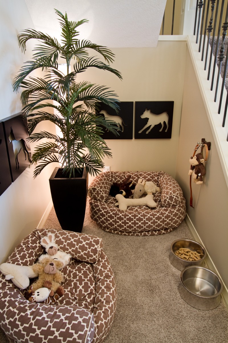 10 Rooms That Are A Dog s Dream