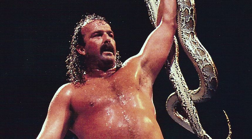 The Top 20 WWE Superstars of the 80s