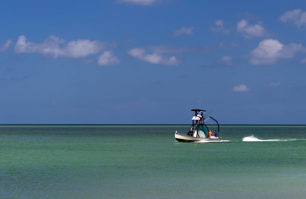 The 20 Best Things to Do in Siesta Key