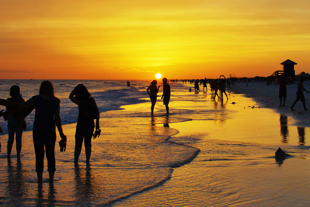 The 20 Best Things to Do in Siesta Key