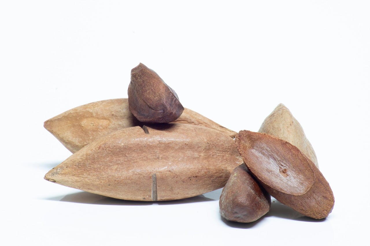 The 10 Most Expensive Types Of Nuts In The World