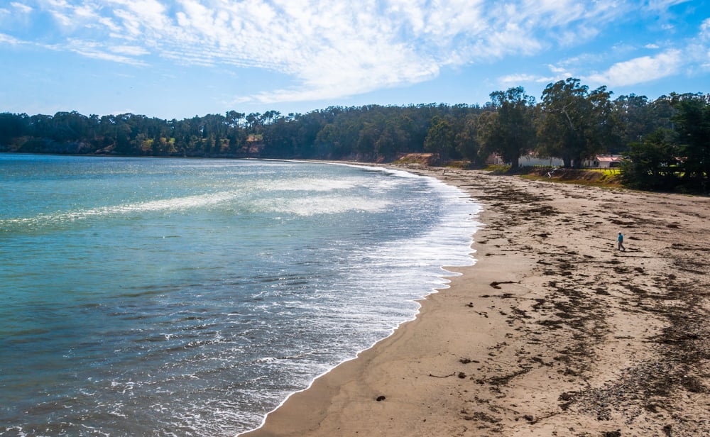 15 Popular Nude Beaches In California You Must Visit