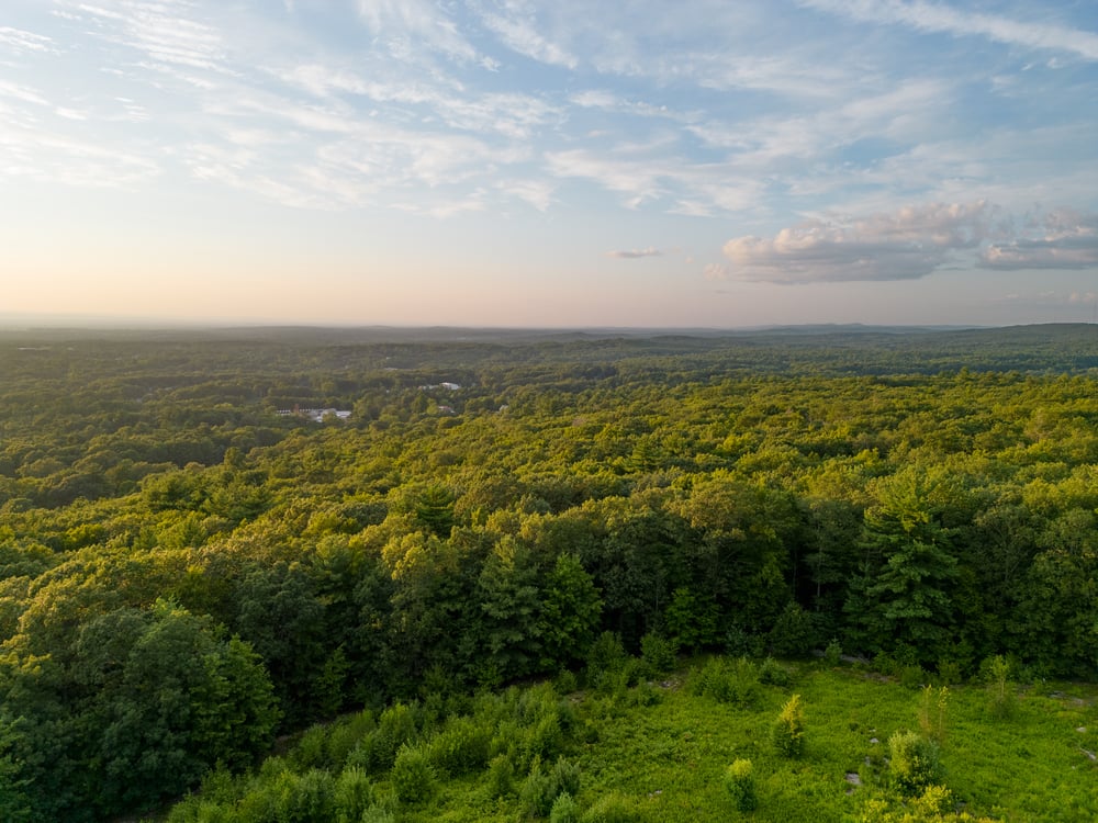 12 Best Places to Live on the East Coast (+3 Places to Avoid)
